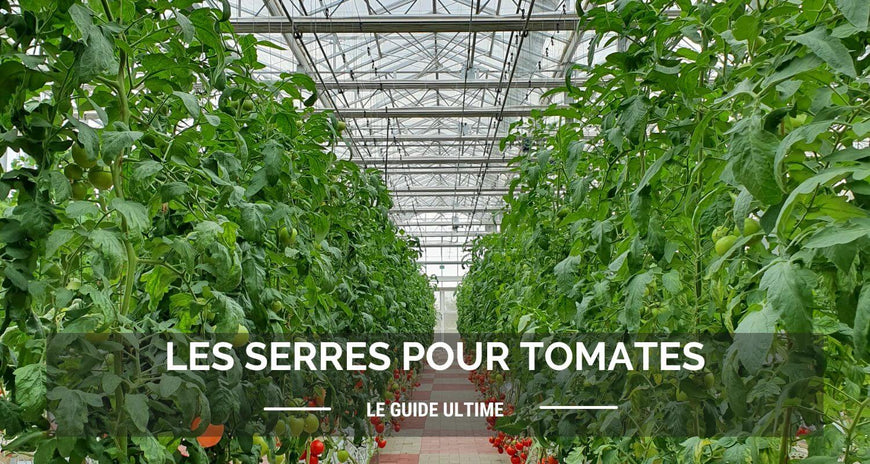 Comment utiliser une serre de jardin ? Le guide complet – Les Serres de ...